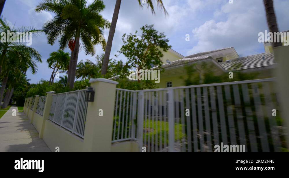 Palm trees gate Stock Videos & Footage - HD and 4K Video Clips - Alamy