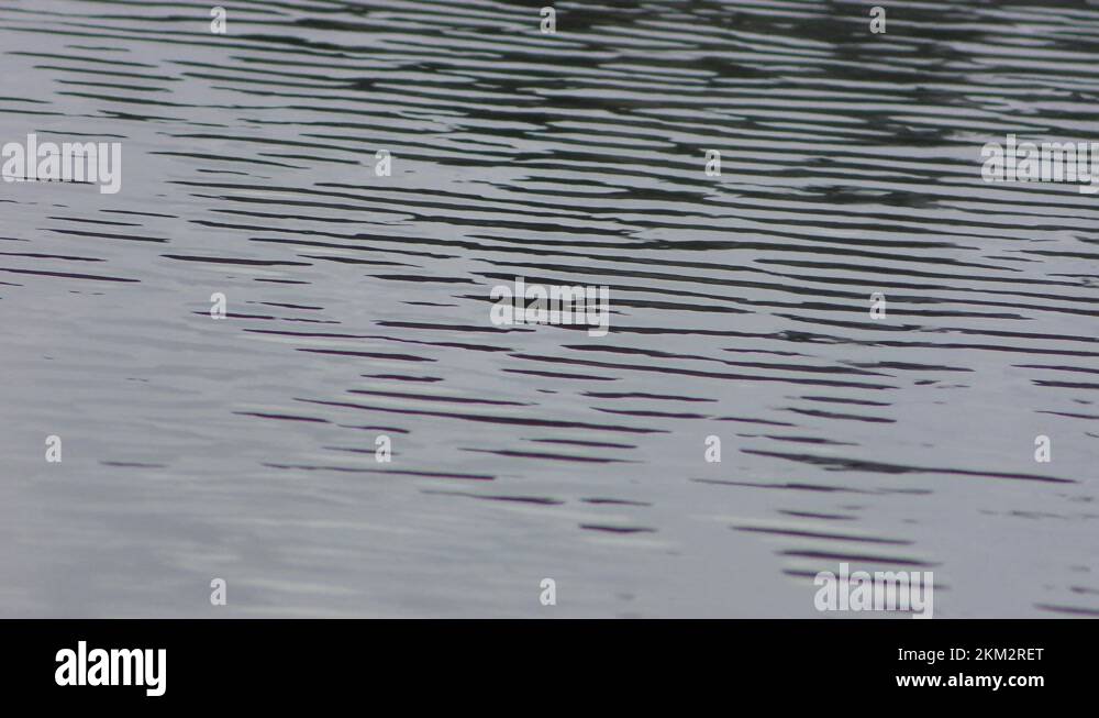 Lake ripples Stock Videos & Footage - HD and 4K Video Clips - Alamy