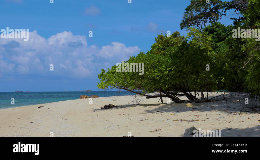 Malaysia, Borneo, Sabah, Sandakan, Turtle Island, beach Stock Video ...