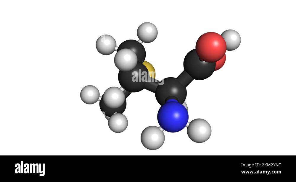 Methionine 3d molecule chemical Stock Videos & Footage - HD and 4K ...