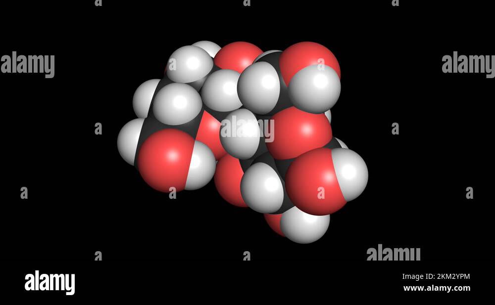 Lactose milk sugar disaccharide molecule 3D chemical structure 4K ...