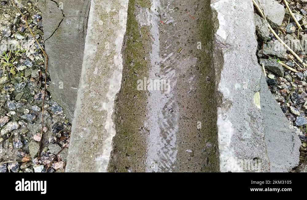 Guide runner Stock Videos & Footage - HD and 4K Video Clips - Alamy