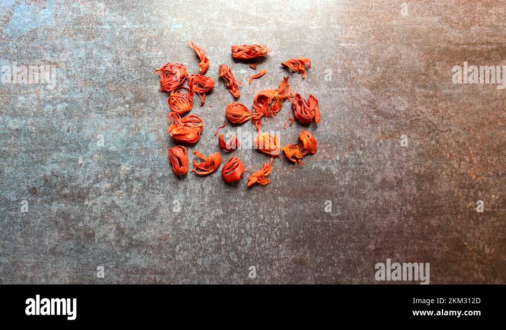 Dry mace flower Stock Videos & Footage - HD and 4K Video Clips - Alamy