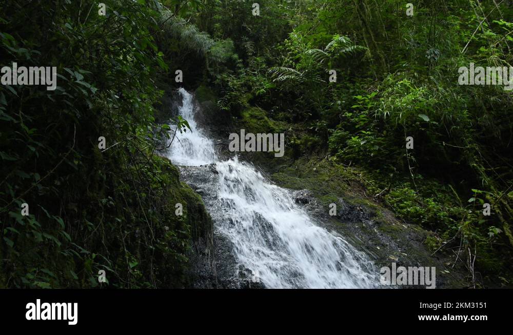 Costa Rica Waterfall in the cloud forest in the high Talamanca ...