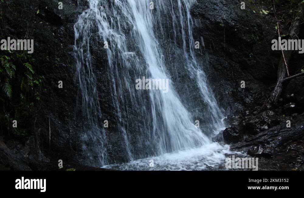 Costa Rica Waterfall in the cloud forest in the high Talamanca mountains, Parque Stock Video ...