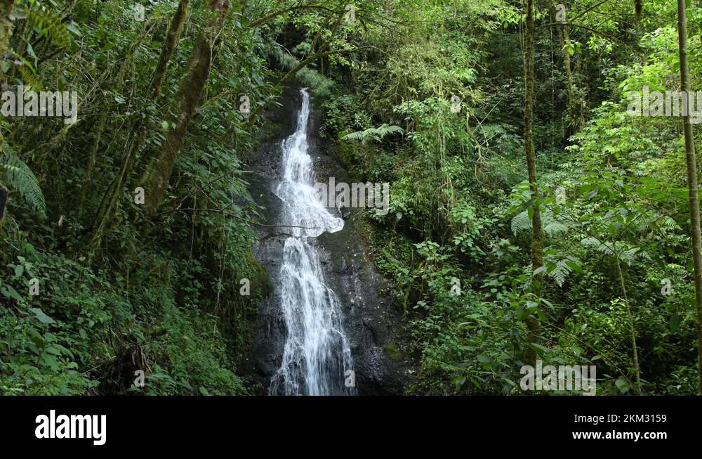 Costa Rica Waterfall in the cloud forest in the high Talamanca ...