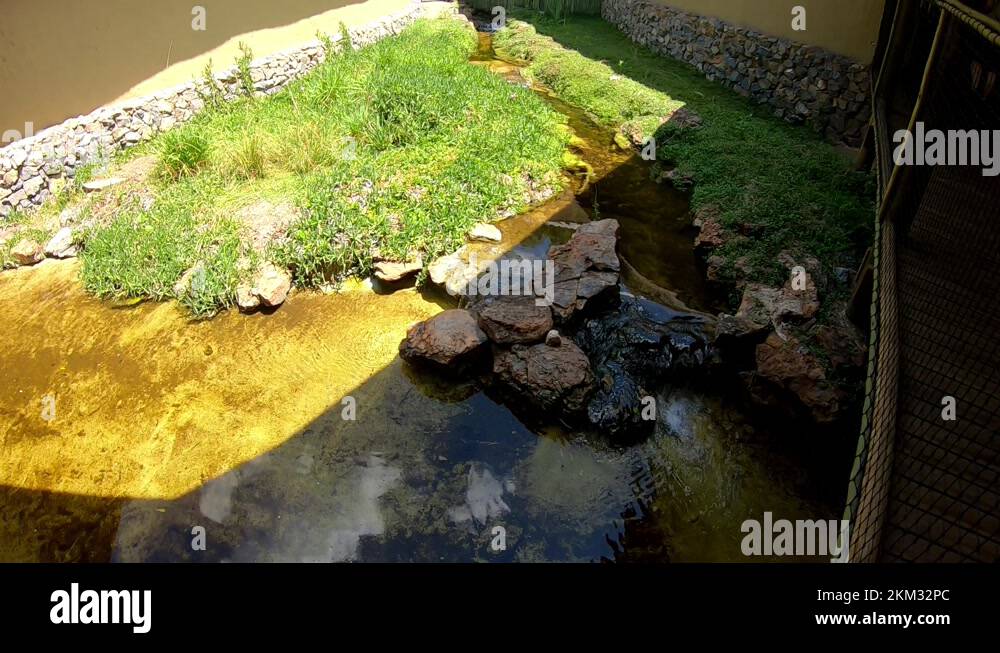 Man made landscapes Stock Videos & Footage - HD and 4K Video Clips - Alamy