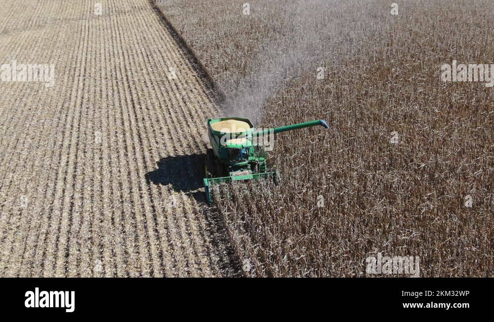 Eight row Stock Videos & Footage - HD and 4K Video Clips - Alamy