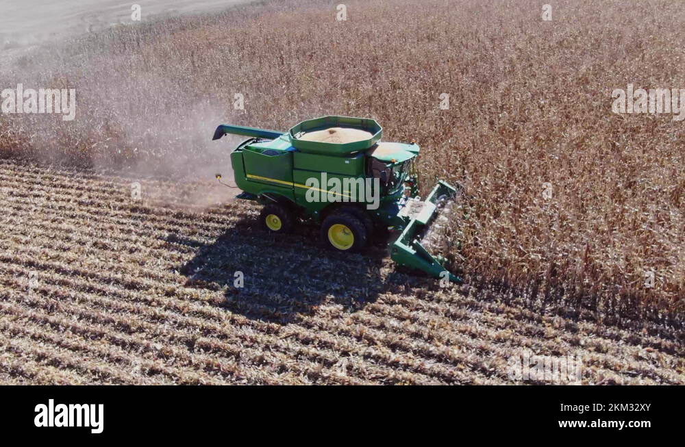 Corn supply Stock Videos & Footage - HD and 4K Video Clips - Alamy