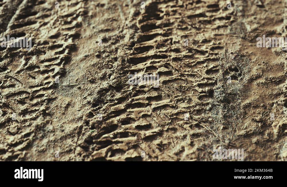 Road tracks rough ground Stock Videos & Footage - HD and 4K Video Clips ...