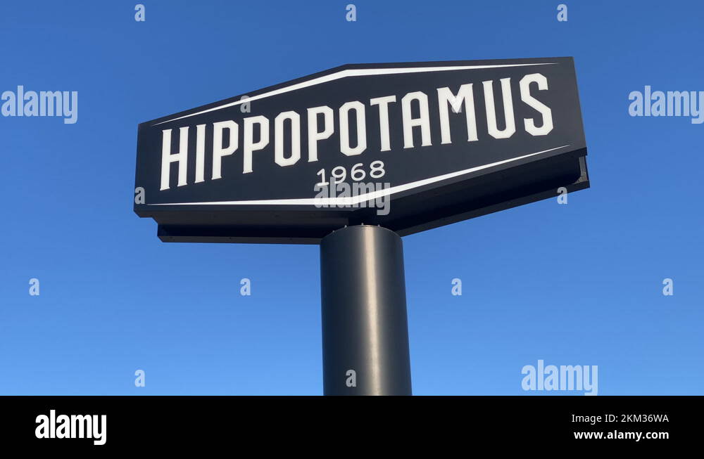 Hippopotamus logo Stock Videos & Footage - HD and 4K Video Clips - Alamy