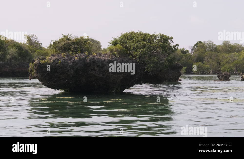 Lagoon at Kwale Island in Menai Bay, Mangroves with Reefs and Rocks ...