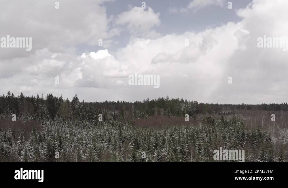 Flying forward in a light snowfall over a rural forest landscape by my ...