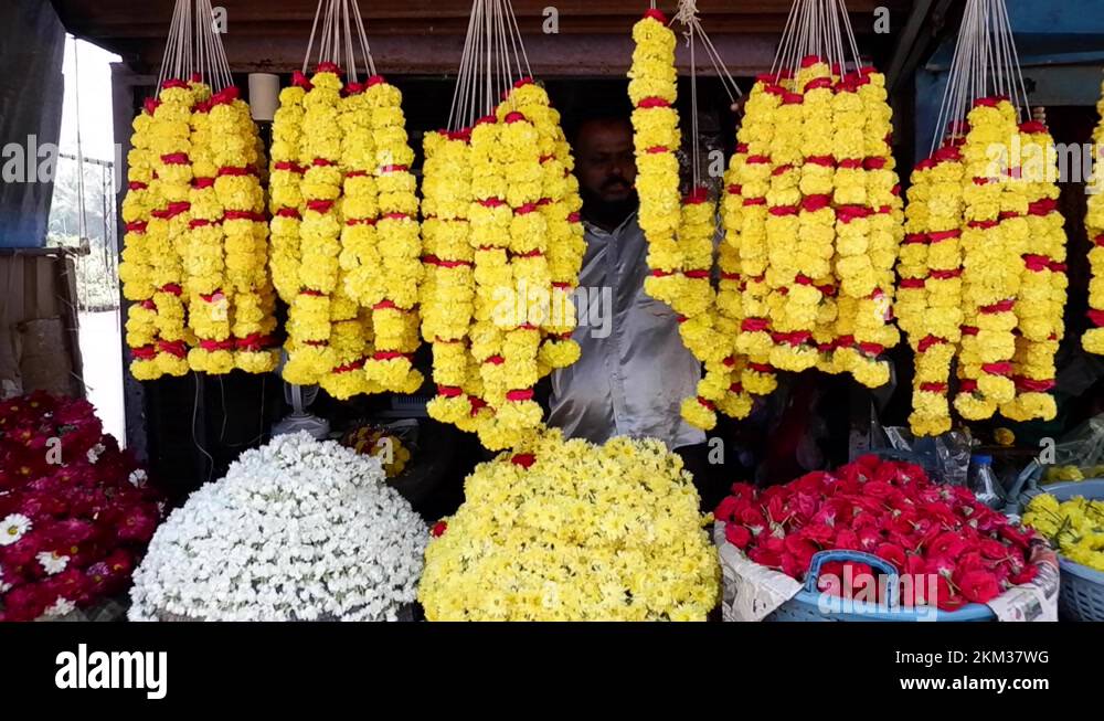 Indian religious flower Stock Videos & Footage - HD and 4K Video Clips ...