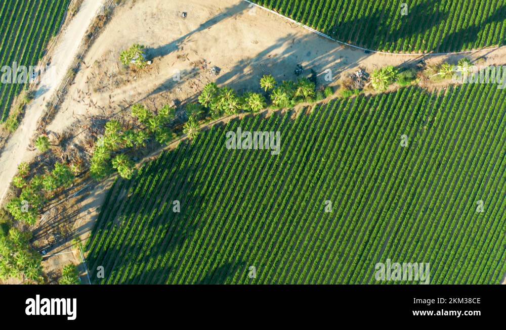 Farming art Stock Videos & Footage - HD and 4K Video Clips - Alamy