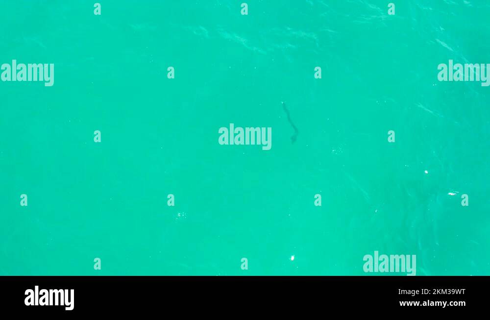 HILTON LOS CABOS MEXICO-2021: Overhead View Of Blue-Green Water Stock ...