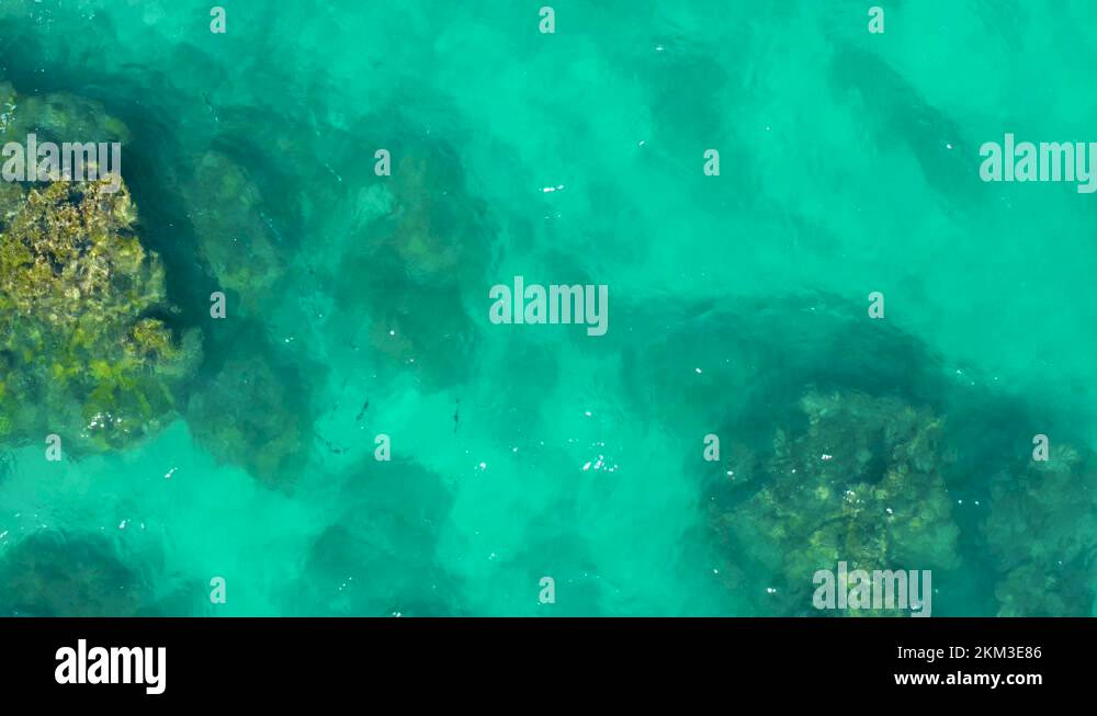 EAST CAPE BCS MEXICO-2020: The Very Beautiful Scene In The Ocean With ...