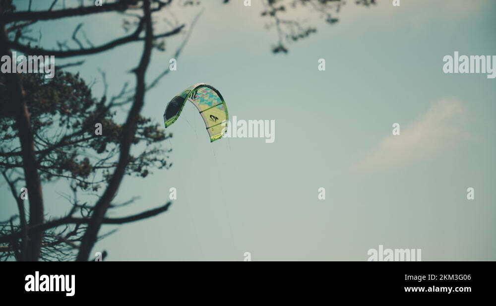 The air and trees Stock Videos & Footage - HD and 4K Video Clips - Alamy