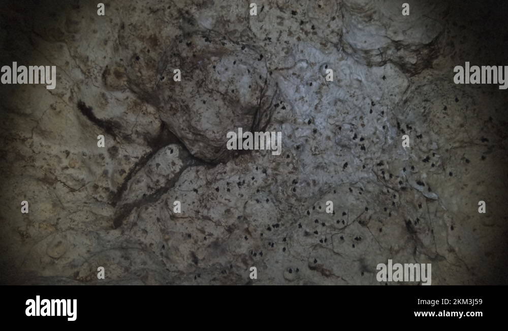 Vertical caving Stock Videos & Footage - HD and 4K Video Clips - Alamy