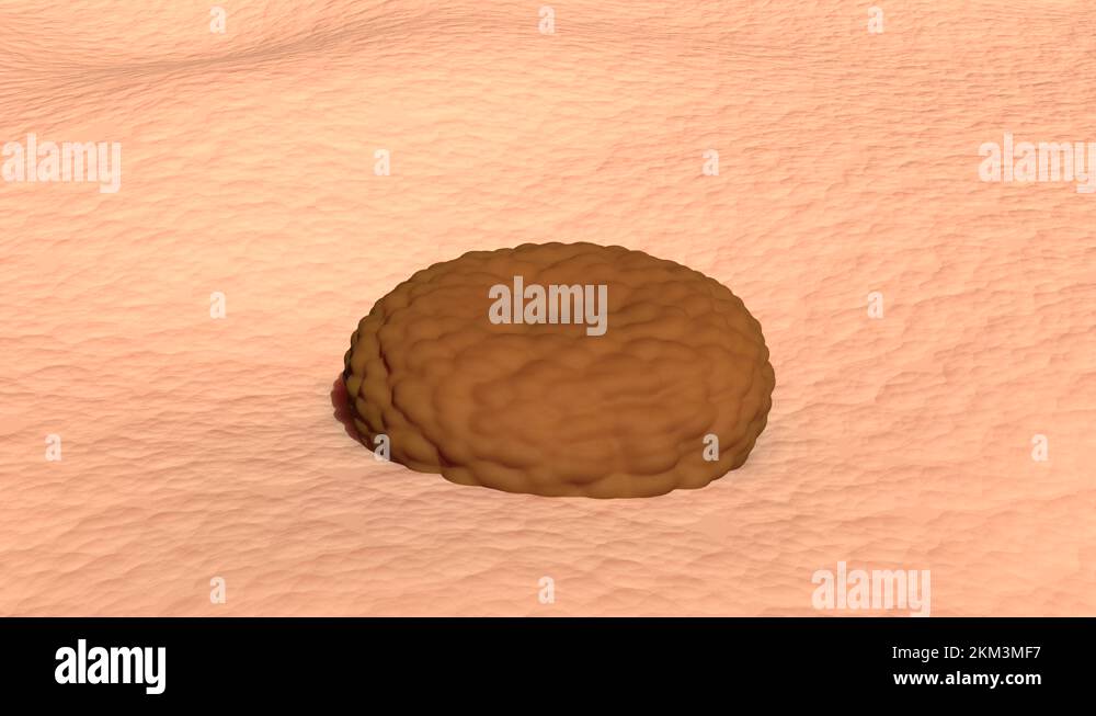 Human skin cell Stock Videos & Footage - HD and 4K Video Clips - Alamy