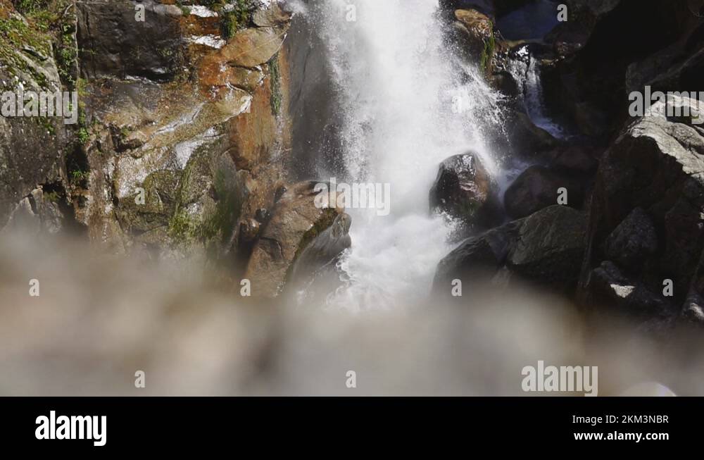 Dramatic forest view Stock Videos & Footage - HD and 4K Video Clips - Alamy