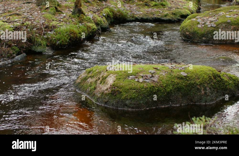 brook among huge boulders covered with moss panorama Stock Video ...
