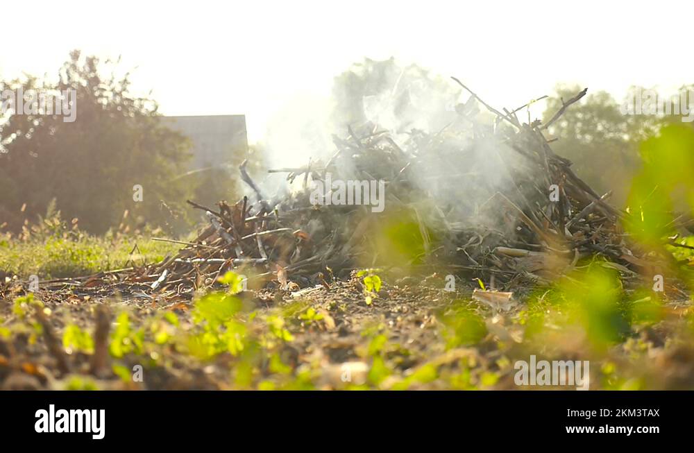 Burning corn field Stock Videos & Footage - HD and 4K Video Clips - Alamy