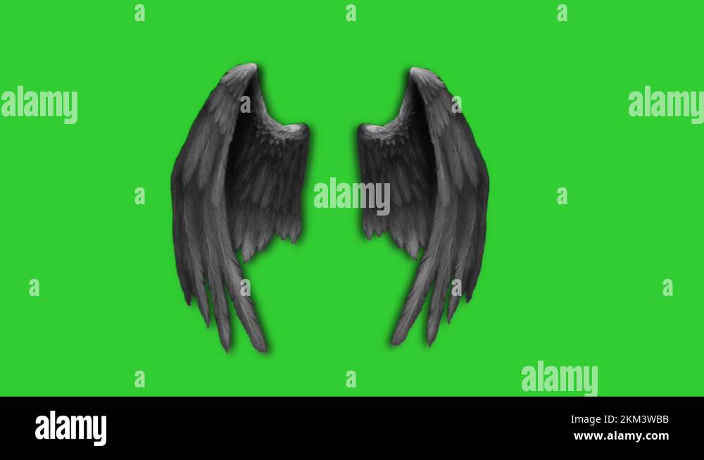 devil wings green screen ,dark black real angel wings green screen ...