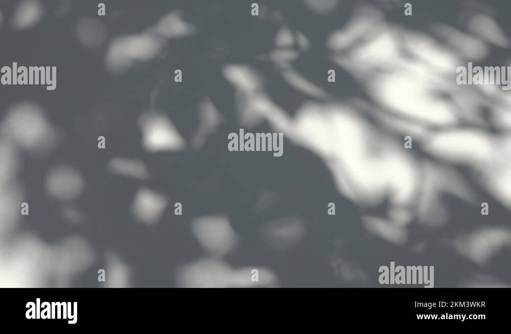 Plants for dappled shade Stock Videos & Footage - HD and 4K Video Clips ...
