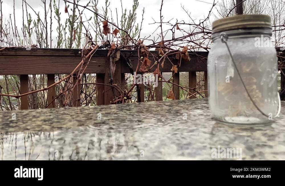 Rain jar Stock Videos & Footage - HD and 4K Video Clips - Alamy