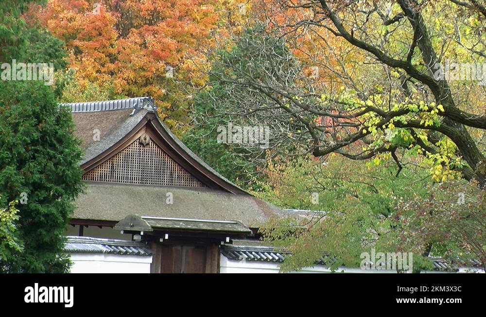 Japanese house gate Stock Videos & Footage - HD and 4K Video Clips - Alamy