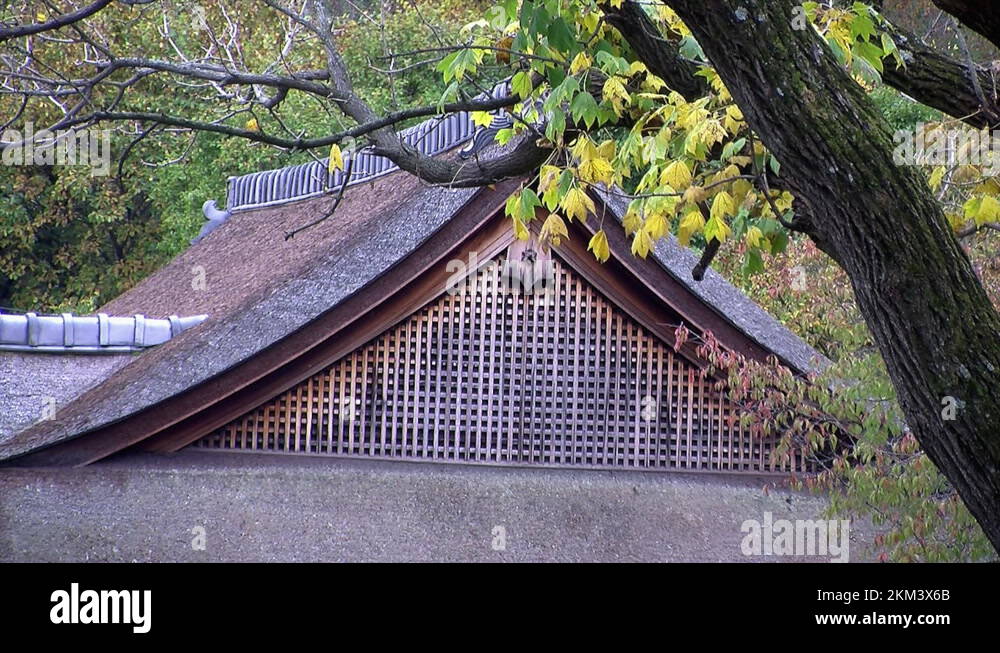 Roof gable Stock Videos & Footage - HD and 4K Video Clips - Alamy