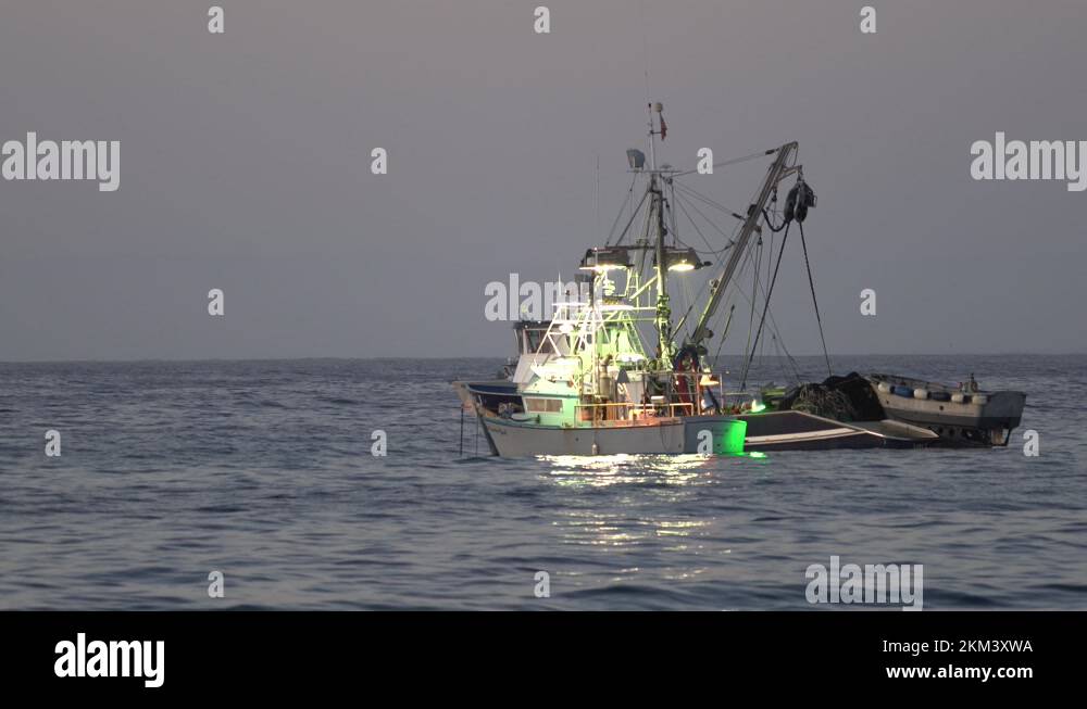 Squid fishing boat Stock Videos & Footage - HD and 4K Video Clips - Alamy