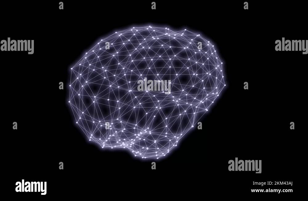 Human brain memory scan Stock Videos & Footage - HD and 4K Video Clips ...