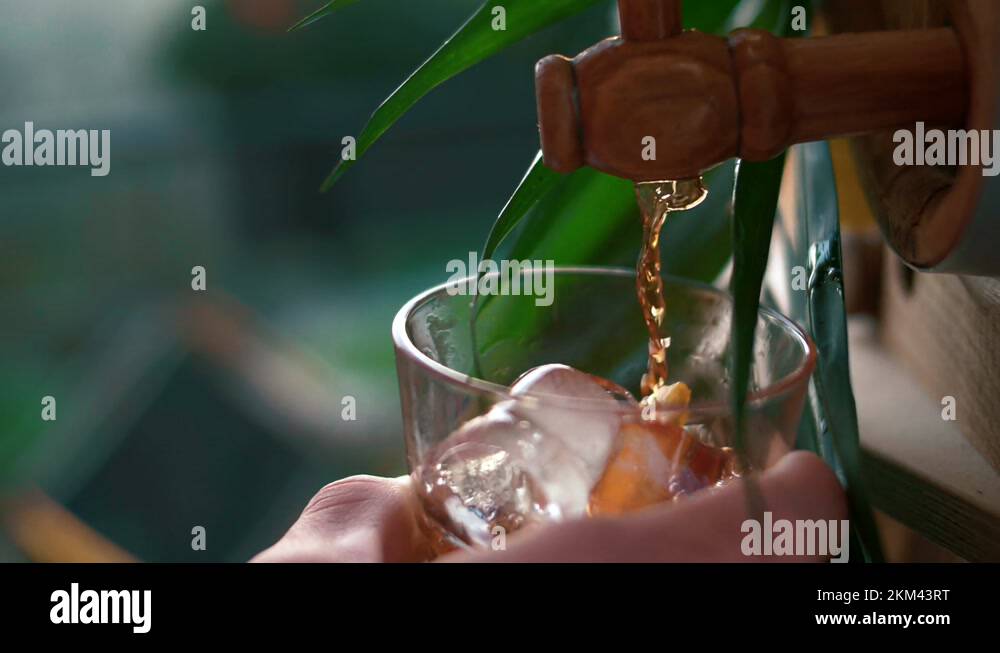 Drunk irish Stock Videos & Footage - HD and 4K Video Clips - Alamy