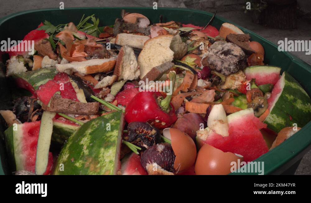 Organic biodegradable food waste bin for composting. Compost, Recycle Stock Video Footage - Alamy