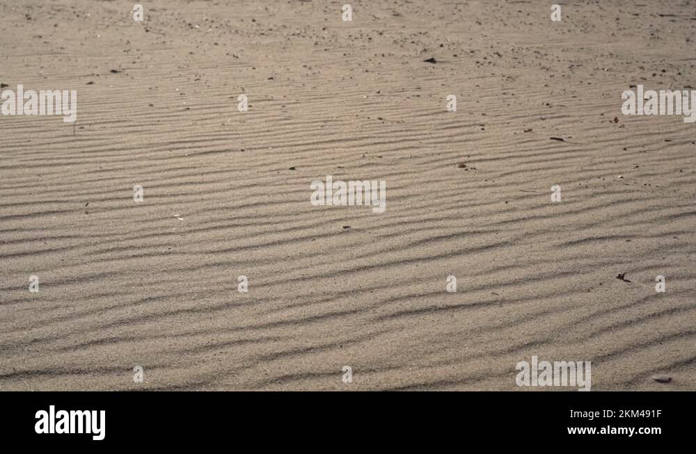 Texture sand grains Stock Videos & Footage - HD and 4K Video Clips - Alamy
