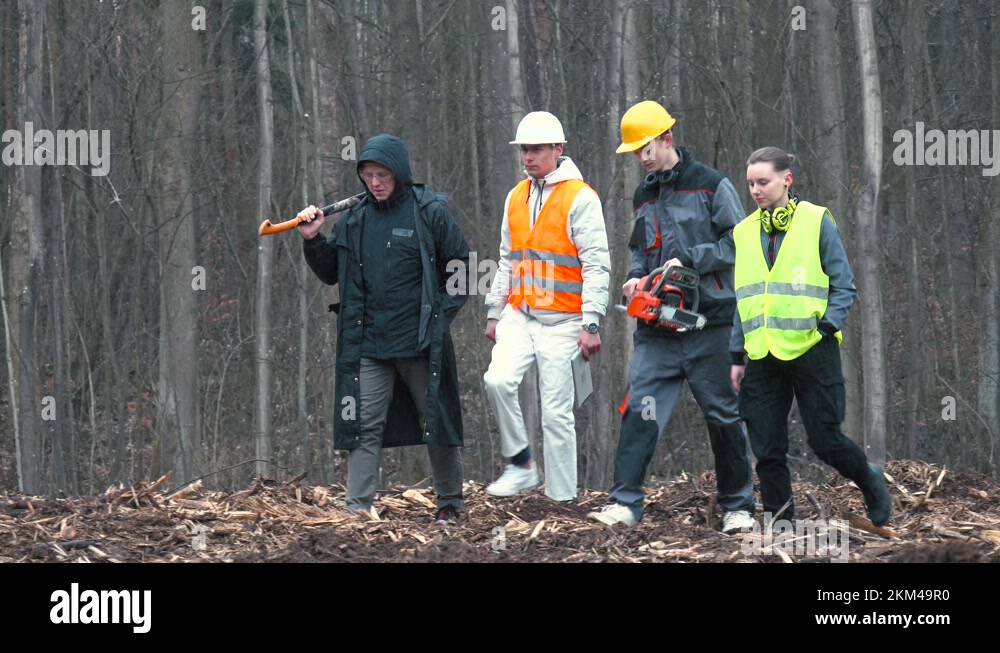 Tired logging workers move through the cleared forest. End of work ...