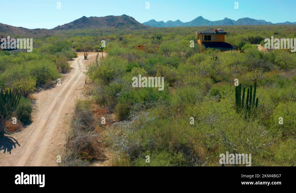 CABO PULMO BCS MEXICO-2020: Dirt Road In A Desert With Cacti And A ...