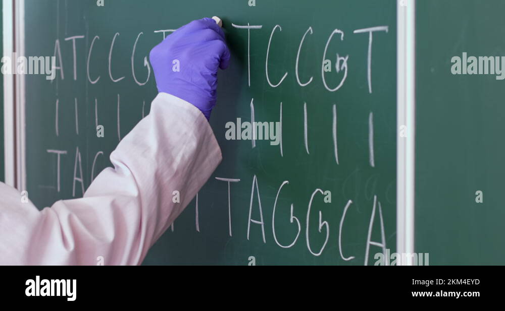 Sequence of nucleotides in the genetic code on the chalkboard Stock ...