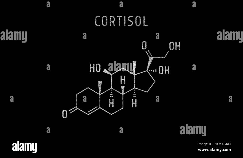 Cortisol Molecular Structure Symbol Sketch or Drawing Animation Stock ...