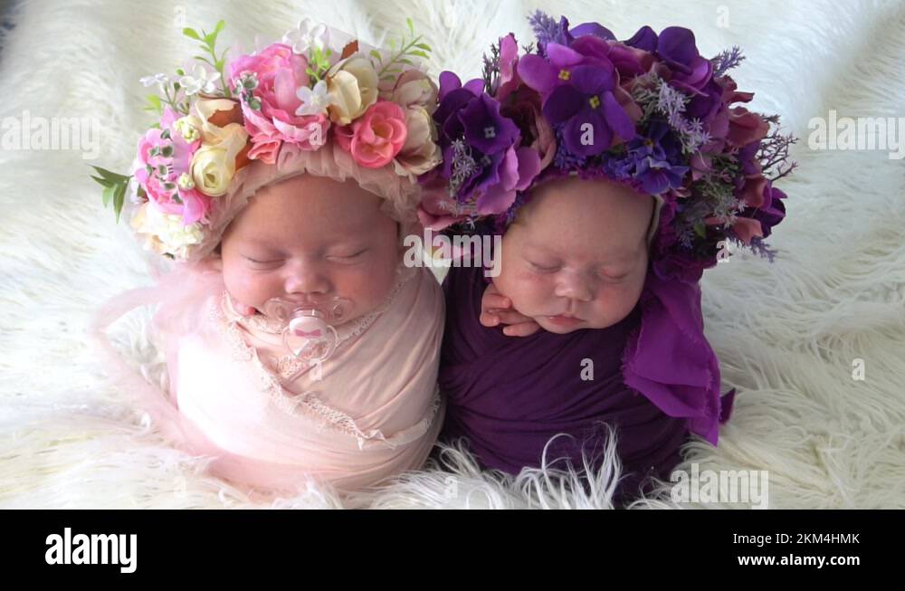 Lavender girls Stock Videos & Footage - HD and 4K Video Clips - Alamy