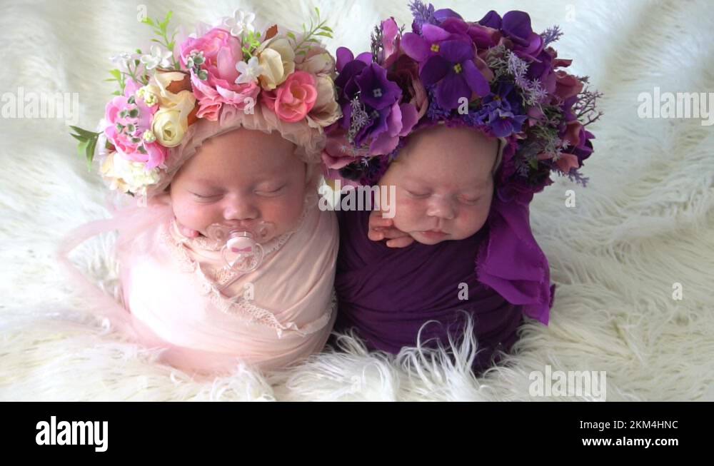 Bloom twins where Stock Videos & Footage - HD and 4K Video Clips - Alamy