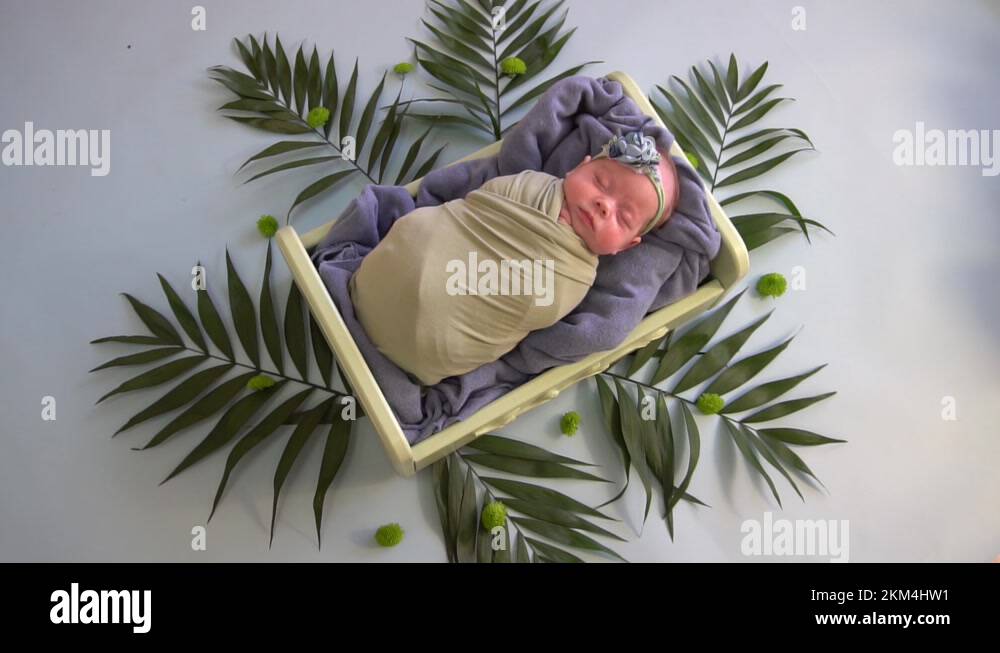 Little basin leaves Stock Videos & Footage - HD and 4K Video Clips - Alamy