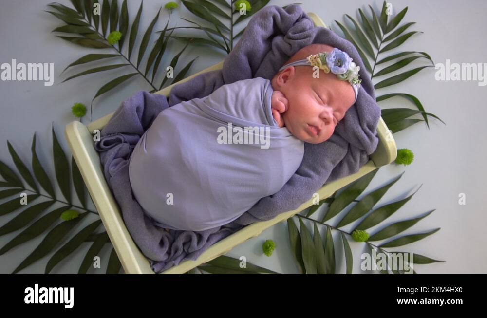 Bed of fern leaves Stock Videos & Footage - HD and 4K Video Clips - Alamy