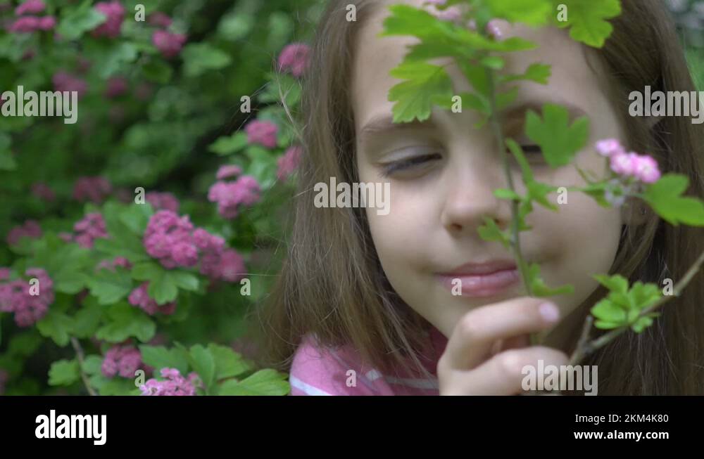 Girl smelling a branch of a cherry blossom tree in a park in spring ...