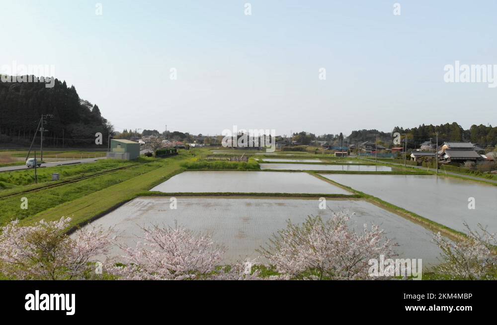 Beautiful japanese scenery Stock Videos & Footage - HD and 4K Video ...