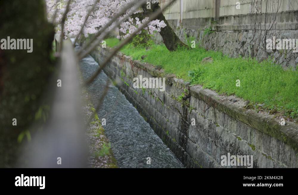 Biwako Sosui at Keage Incline in Kyoto Japan, Slow motion Rack Focus ...