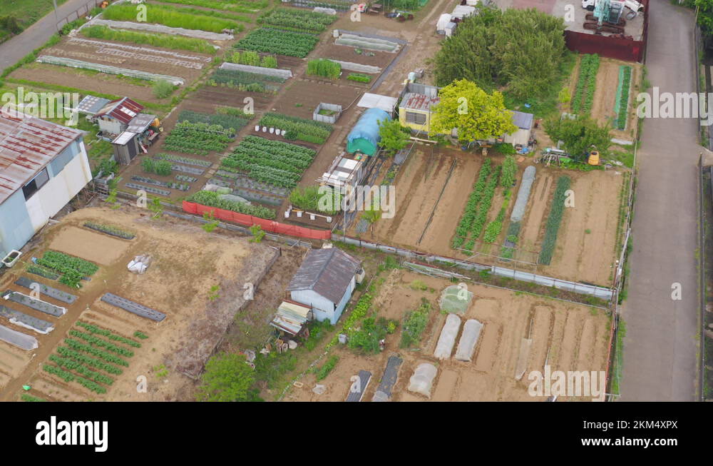 Suburban farming in yokohama's aoba district. City farm with fields of ...