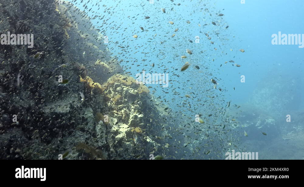 Clean clear blue sea Stock Videos & Footage - HD and 4K Video Clips - Alamy